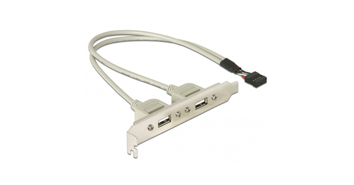 DeLOCK Slot bracket, 10-pin header > 2 x USB-A slotplaatje Grijs, 0,3 meter